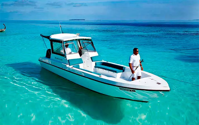 په مالدیپ کې سوینوا فش