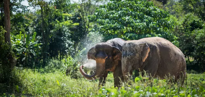 Phokite: Oṣu Kini Ọjọ ooru lori 