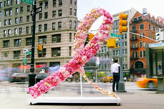 Cinta rosa: Esté Lauder luchas contra el cáncer de mama 268_1
