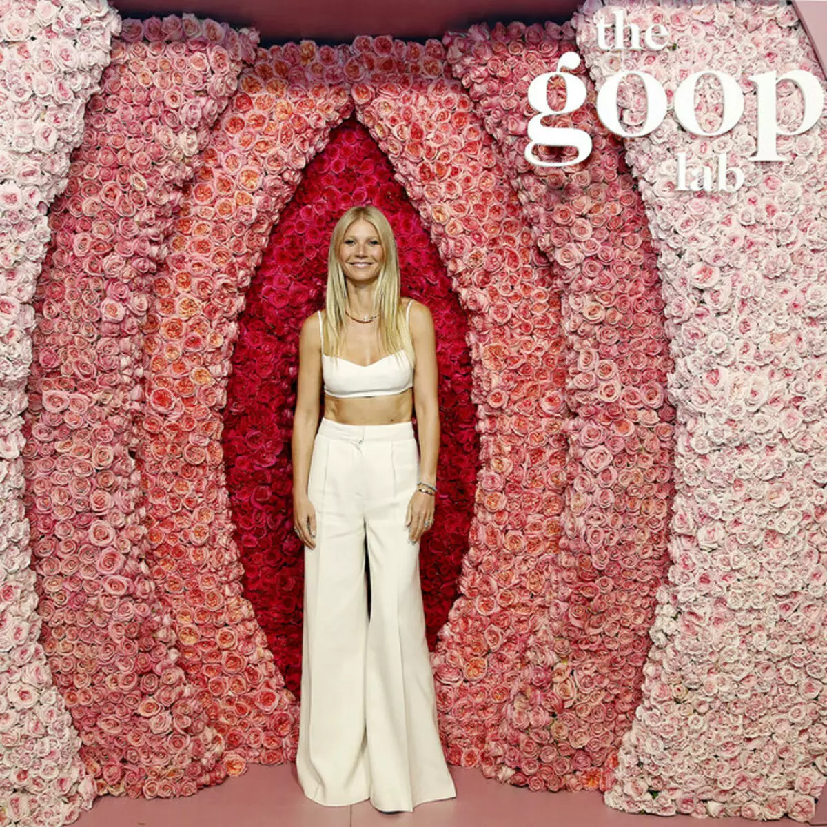 Gwyneth Paltrow vorbereitet für seine Präsentation eine Presse / Vagina 3366_2