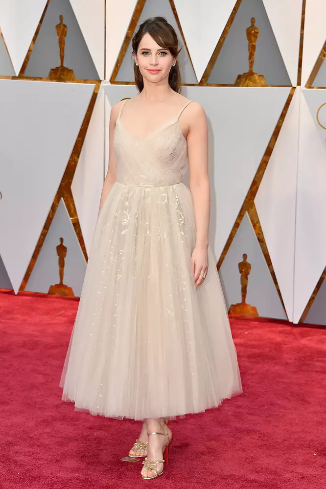 Çiçəklər və Qızıl: Oscar Emma Stone, Carly Kloss və digər ulduzlara nə gəldi 36273_31