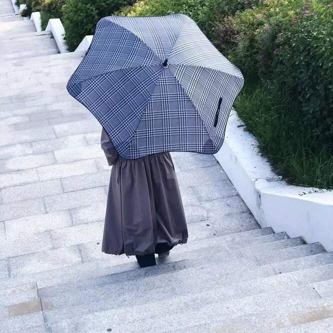 La problemo estas solvita: kie aĉeti ombrelon por kiu ne hontos 382_7