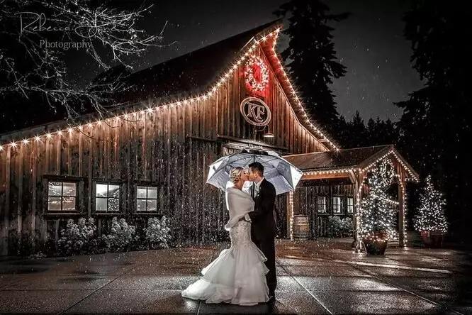 Gyengéd királynő: 18 lenyűgöző ötletek a téli esküvőre Instagram-tól 43873_2