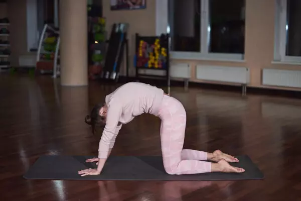 6 Asan de Yoga, que lhe dará flexibilidade de balé 4865_6