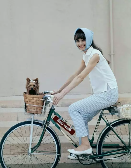 Queen of Style: 8 favorite things Audrey Hepburn, in which you will be impeccable 49082_2
