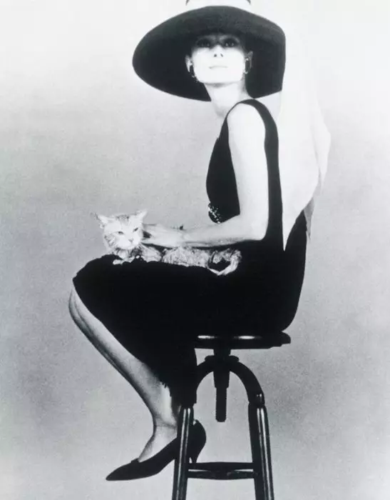 Queen of Style: 8 favorite things Audrey Hepburn, in which you will be impeccable 49082_5