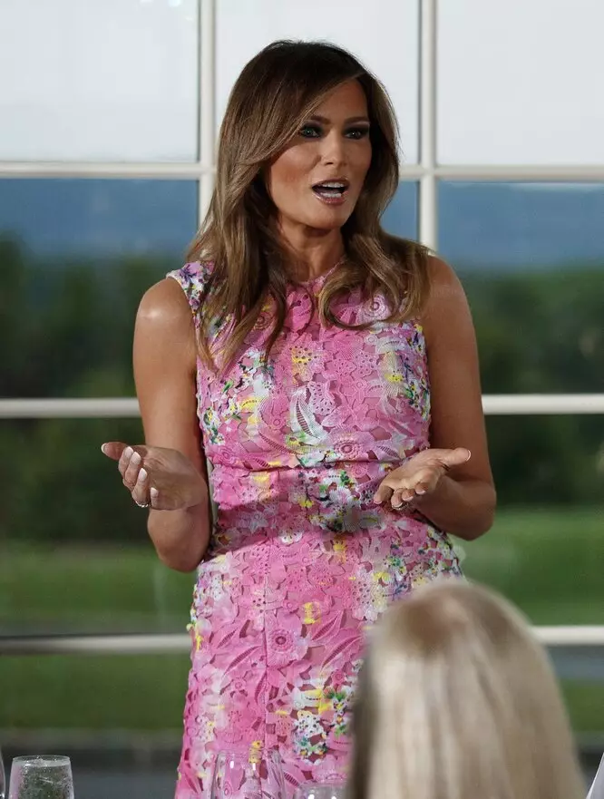 One dress - two images: Melania Trump includes pink color in business wardrobe 50776_1