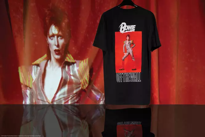 Starman: Vans Defeated David Bowie collection 56567_12