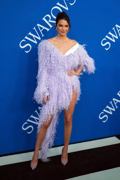 Miracle in feathers: 8 most textured dresses Kendall Jenner 58180_4