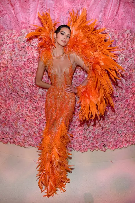 Miracle in feathers: 8 most textured dresses Kendall Jenner 58180_6